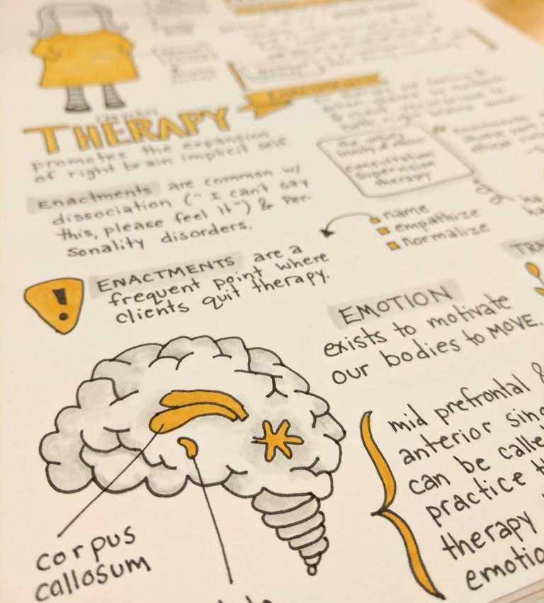 Learning About the Brain: A Brain Worksheet PDF Resource ...