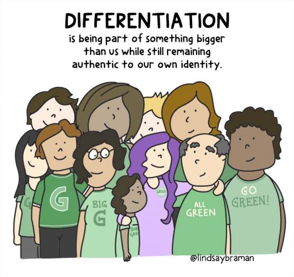 Healthy Differentiation is the Boundary Between Individual Identity and ...