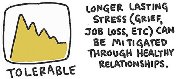 3 Types of Stress & Strategies to Cope with Them - LindsayBraman.com