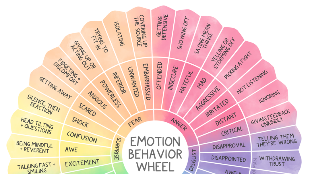 Emotion Behavior Wheel: Linking Feelings, Behaviors, & Empathy ...
