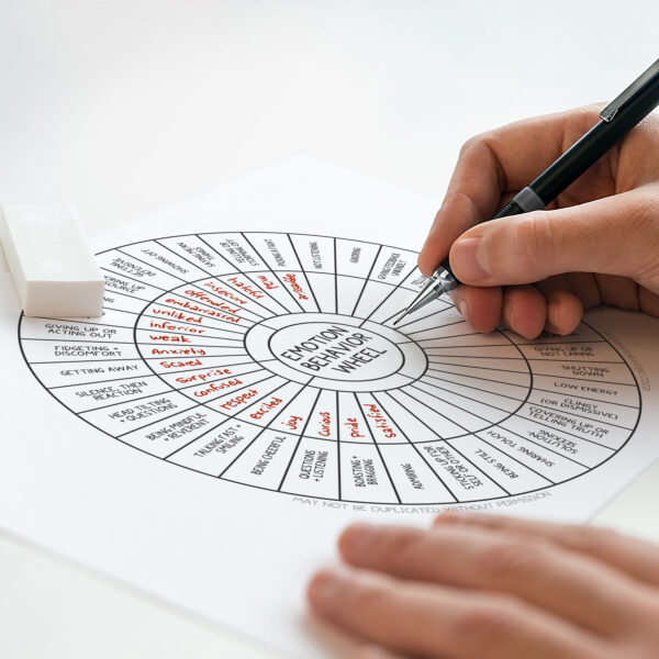 Emotion Behavior Wheel: Linking Feelings, Behaviors, & Empathy ...