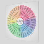 Emotion Behavior Wheel: Linking Feelings, Behaviors, & Empathy ...