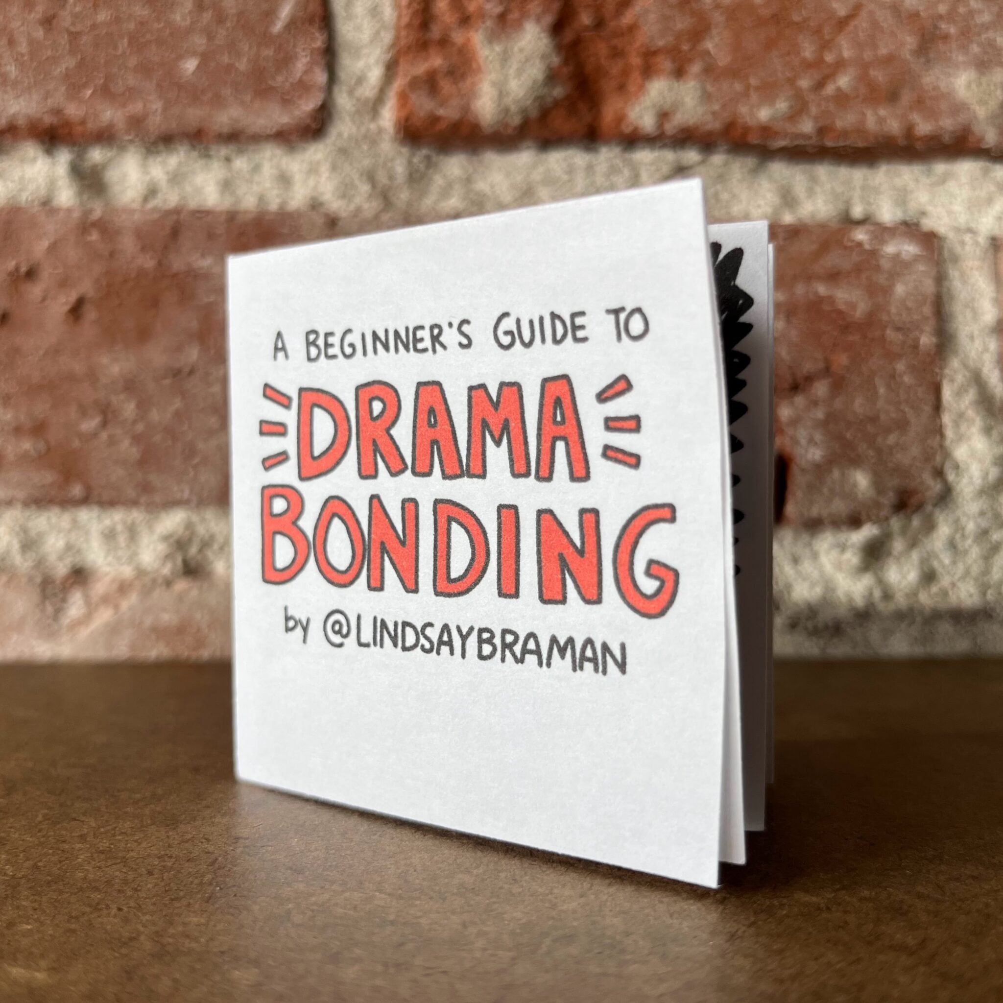 A Beginner's Guide to Drama Bonding - Lindsay Braman