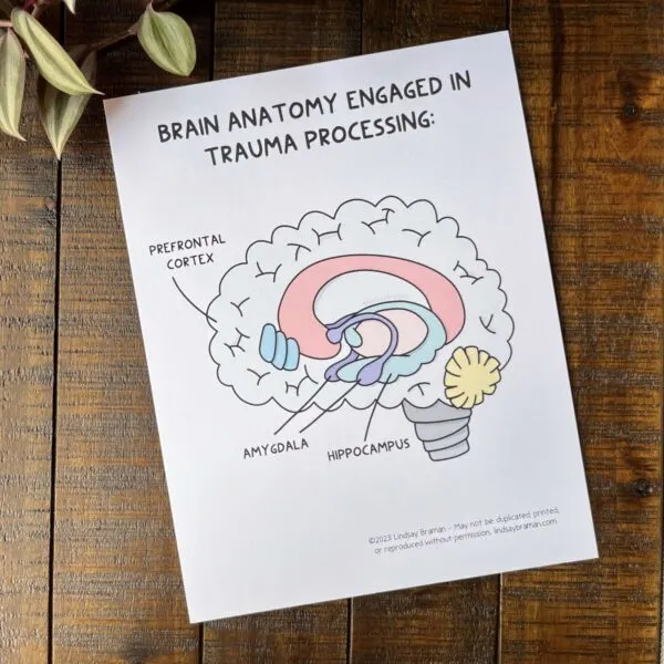 Learning About the Brain: A Brain Worksheet PDF Resource ...