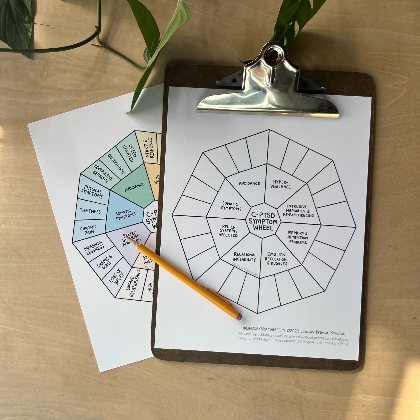The C-PTSD Symptom Wheel - LindsayBraman.com