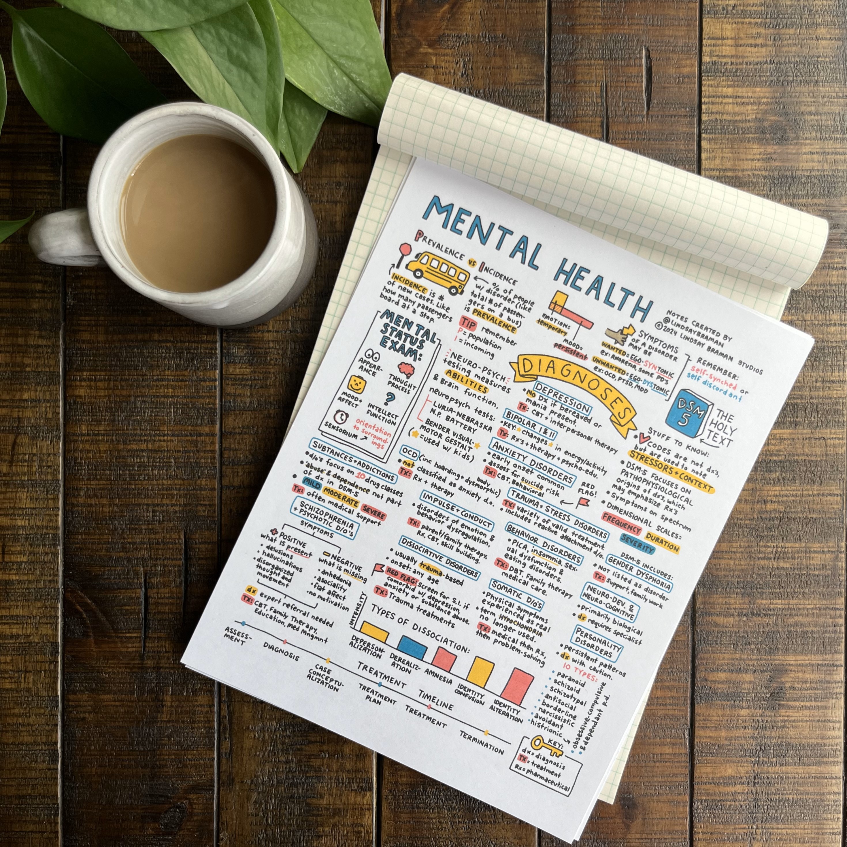 NCE Visual Study Guide & Test Prep Activity Book by Lindsay Braman ...