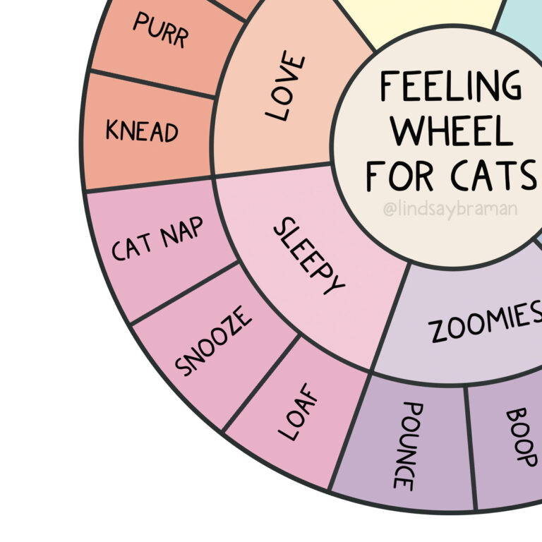 A Feeling Wheel for Dogs & for Cats - Lindsay Braman