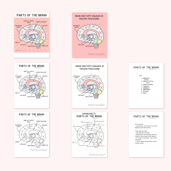 Learning About the Brain: A Brain Worksheet PDF Resource ...